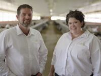 Robotic Milking – DeLaval Virtual Tours